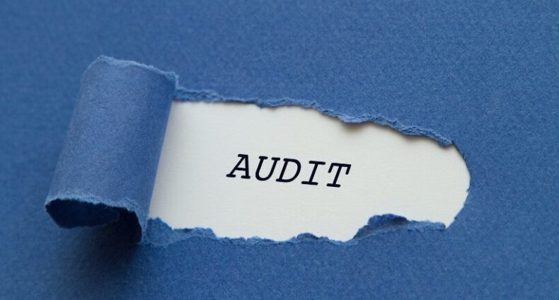 Auditdienst Rijk sluit zzp’ers met BV uit bij aanbesteding interim ...
